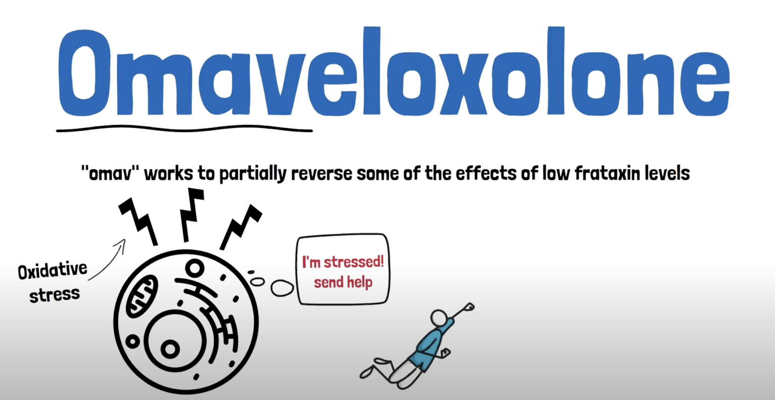 Omaveloxolone (Brand Name: SKYCLARYS for >16yo) - Friedreich's Ataxia ...